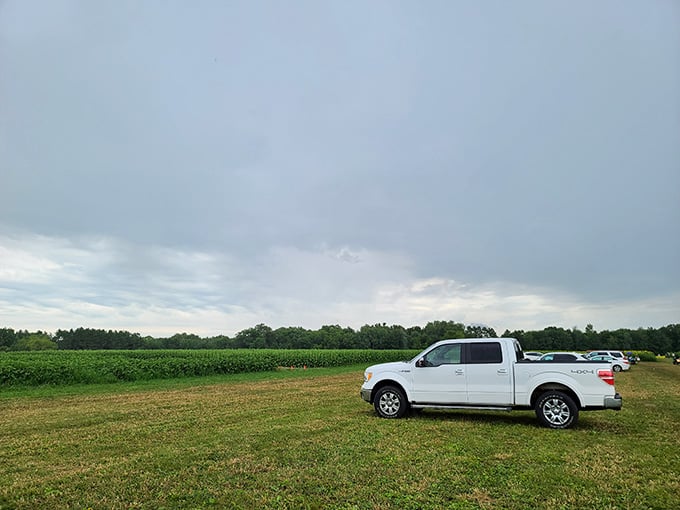 Ample parking where the biggest decision is which spot gets you closest to floral paradise.