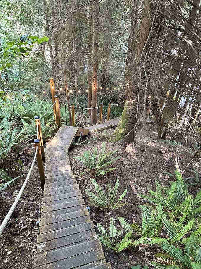 This boardwalk through the trees is your personal yellow brick road, except it leads to relaxation instead.
