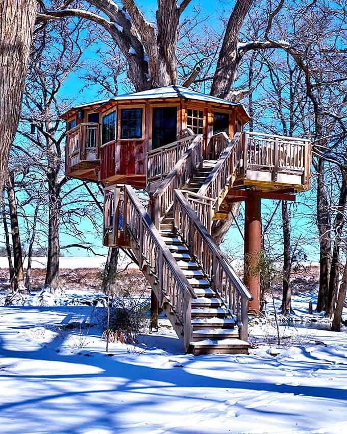 Snow-dusted and stunning, the Carousel treehouse looks like it wandered out of Narnia and decided Texas suited it better.