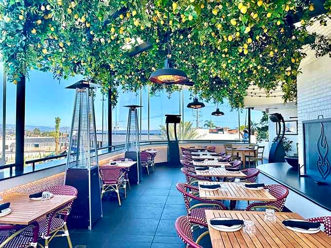 Rooftop dining with bistro chairs and overhead greenery creating an atmosphere that makes every meal feel like a special occasion.