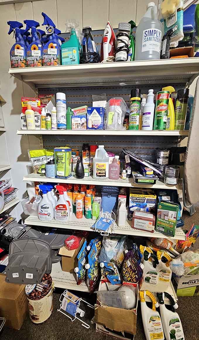 Cleaning supplies proving that sparkling homes don't require spending a fortune on fancy brand names.