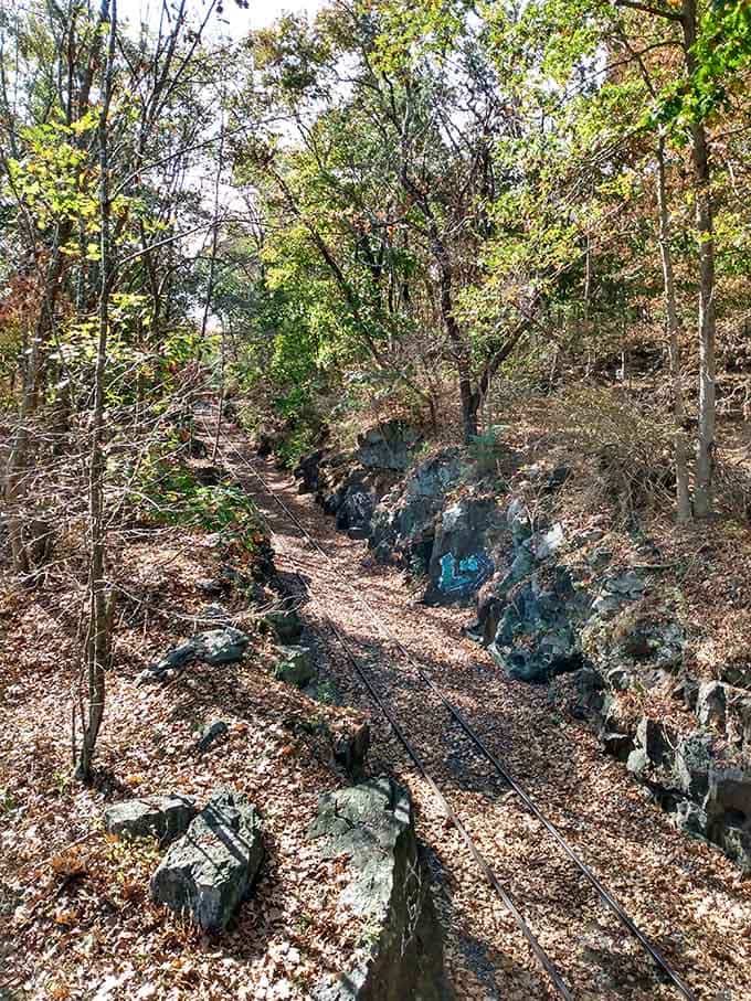 Trails wind through the gorge, inviting exploration for those who like their nature with a side of adventure.