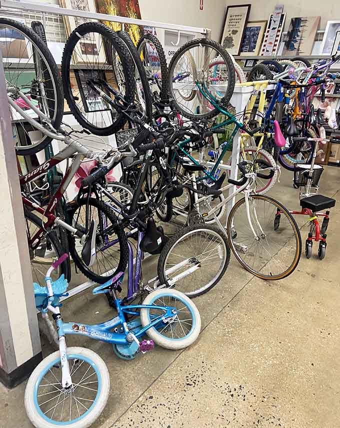 Bicycles stack vertically like a two-wheeled parking garage, offering rides for every age without the new-bike sticker shock.