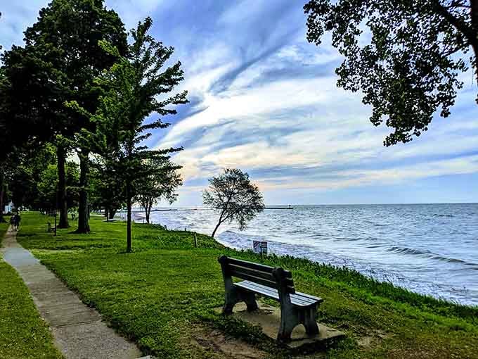 Linwood Park's lakeside bench faces endless water views, perfect for contemplating life's important questions or nothing.