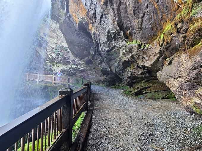 Walking behind Dry Falls feels like discovering a secret passage that's been hiding in plain sight forever.
