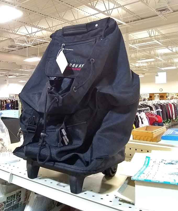 Rolling luggage proves practical can be affordable, perfect for snowbirds heading north when Arizona summers arrive scorching hot.