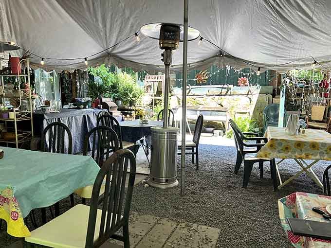 Outdoor tent dining where you can enjoy your meal surrounded by nature without the bugs joining your party.