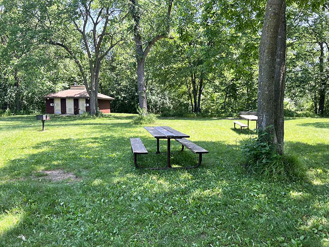 Scattered picnic tables under mature trees offer intimate spots for outdoor dining without the crowded beach vibe.