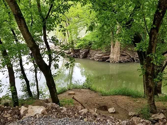 Lower Howard's Creek offers peaceful waterside moments that remind you nature's been here longer than any of us.