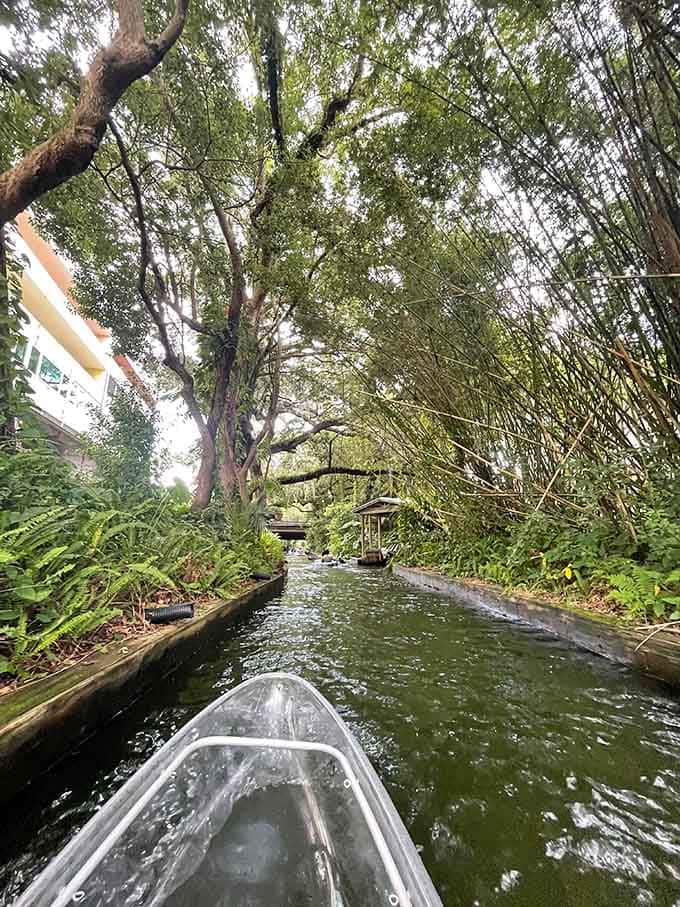 Tree canopies create natural cathedrals overhead, and admission is just the price of a kayak rental.