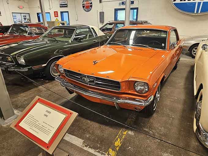 Ford Mustangs defined cool for generations, and this beauty still turns heads like it's cruising down Main Street.