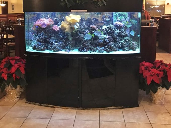 A tropical aquarium adds a splash of underwater serenity to your landlocked Wisconsin dining adventure today.