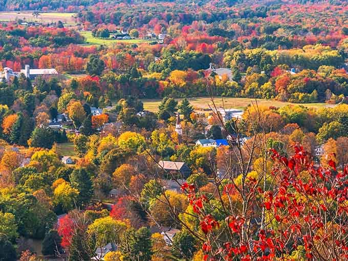 Autumn explodes across rolling hills in every shade imaginable, proving that Mother Nature is the greatest artist of them all.