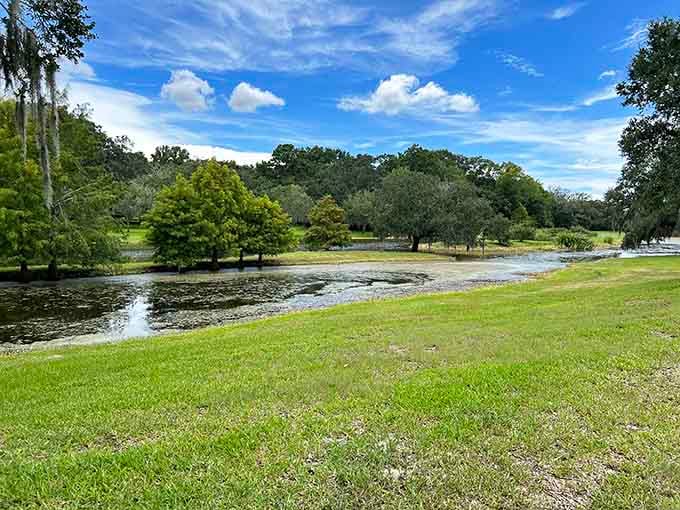 Green grass and gentle waters offer you a peaceful place to relax under the bright blue sky and fluffy clouds.