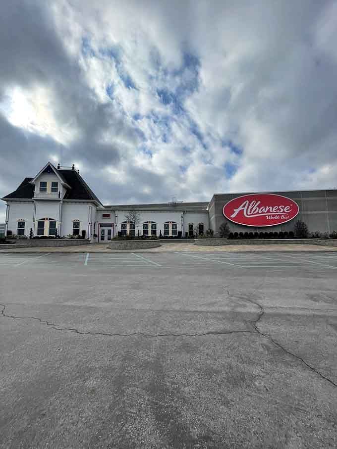 Even under cloudy skies, Albanese shines bright, a beacon of sweetness in the Indiana landscape waiting patiently.