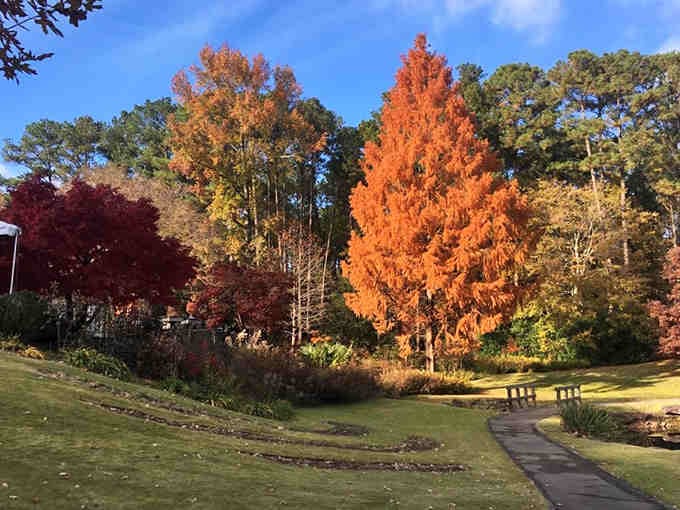 Fall foliage that makes you forgive every mosquito bite and humid day summer threw at you this year.