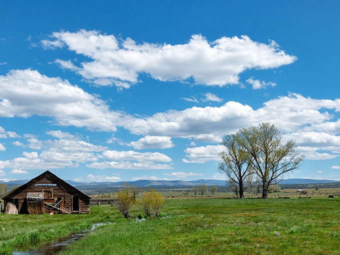 Wide open fields stretch toward distant mountains, showcasing the kind of space that makes coastal Californians weep with envy.
