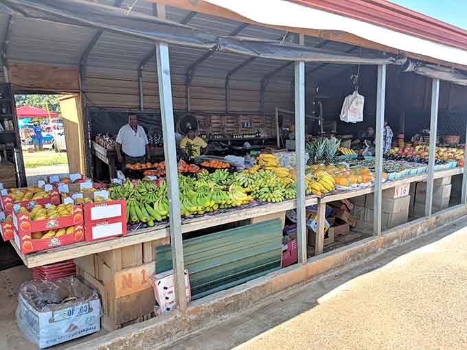 Fresh produce displayed under cover, where bananas, pineapples, and local fruits await shoppers who appreciate real flavor and freshness.