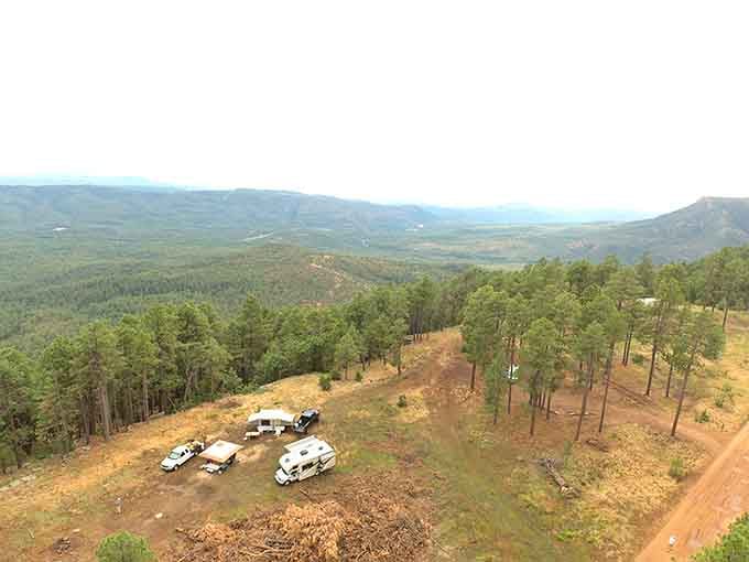 From up here, two million acres of forest looks like the world's most impressive green carpet.