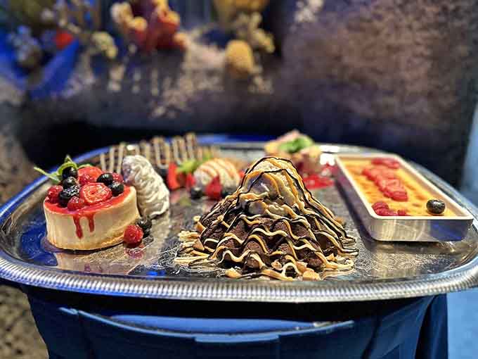 Desserts so photogenic they make you wonder if calories count when sharks are watching you eat.