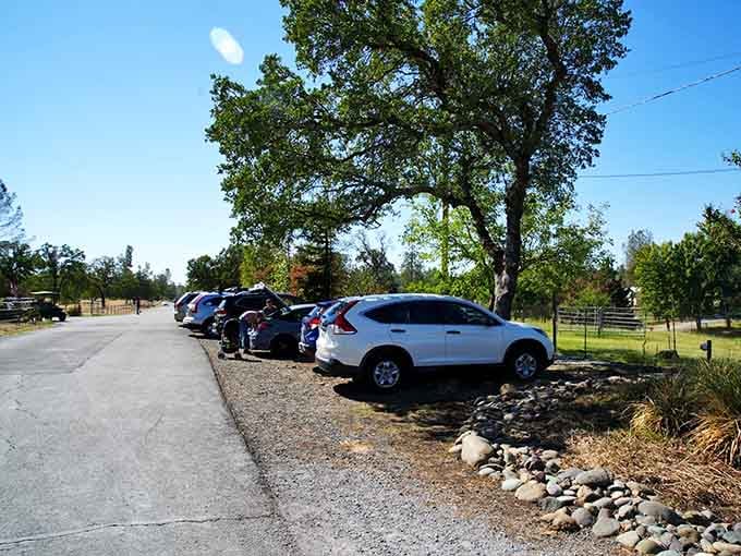 Your chariot awaits in a shaded lot, but good luck convincing yourself it's actually time to leave already.