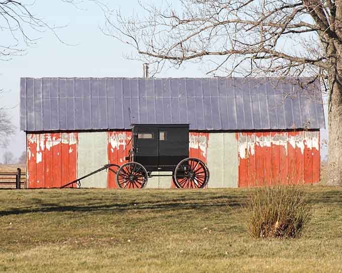 That buggy parked by the barn isn't a museum piece, it's actual transportation still used daily in this remarkable community.