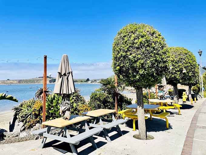 Outdoor seating where the ocean breeze is free and the views come standard with every delicious meal.