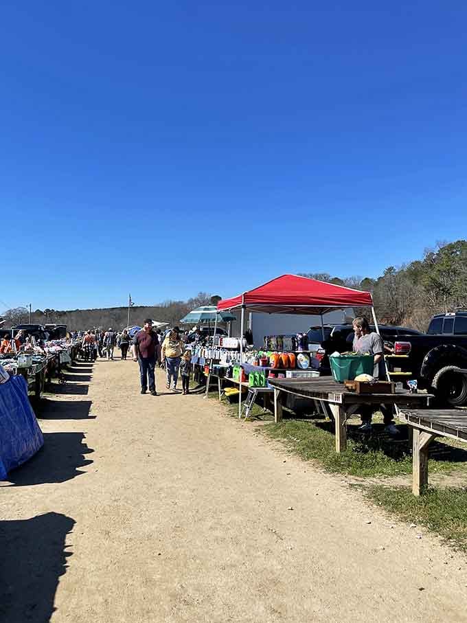 Outdoor vendor rows stretch across the grounds where blue skies meet bargains under a perfect Carolina day.