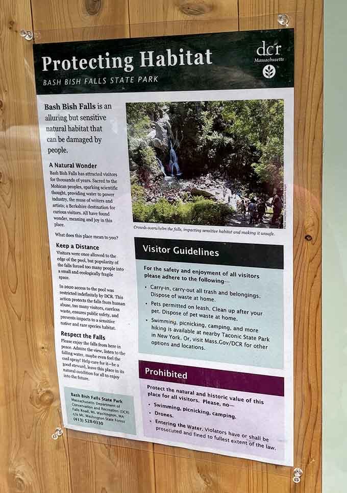 The park's habitat protection guidelines remind us that preserving beauty requires everyone's cooperation and respect.