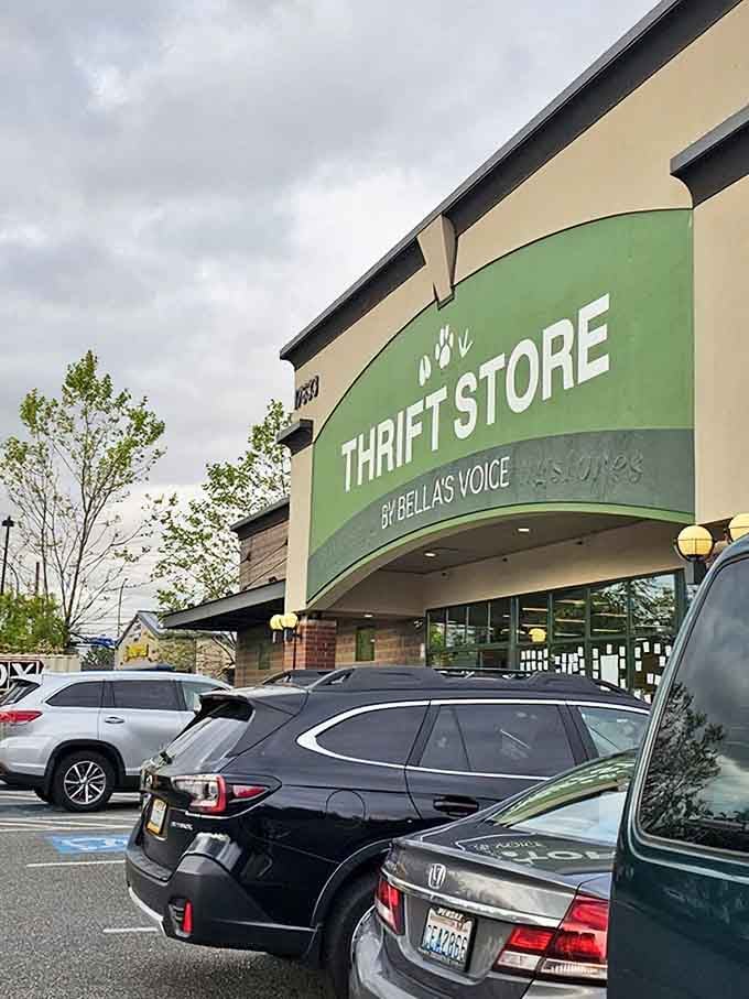 The parking lot stays busy because word spreads fast when deals this good exist in your neighborhood.