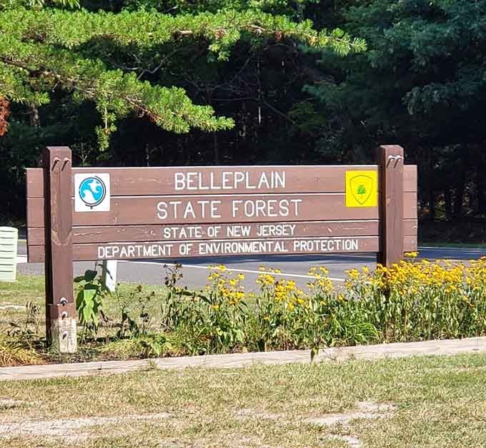 The welcome sign to Belleplain State Forest, where your next adventure officially begins