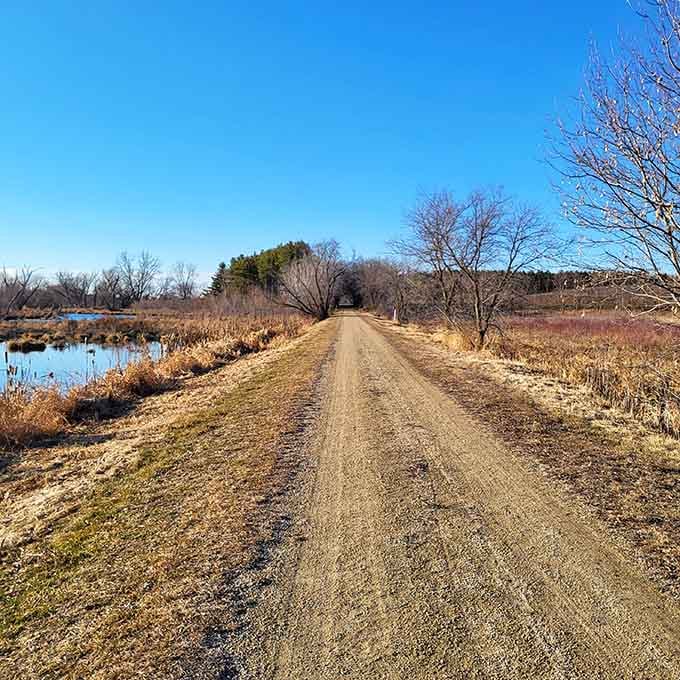 Fen State Natural Area's trail stretches into peaceful wilderness where nature does its thing without interruption.