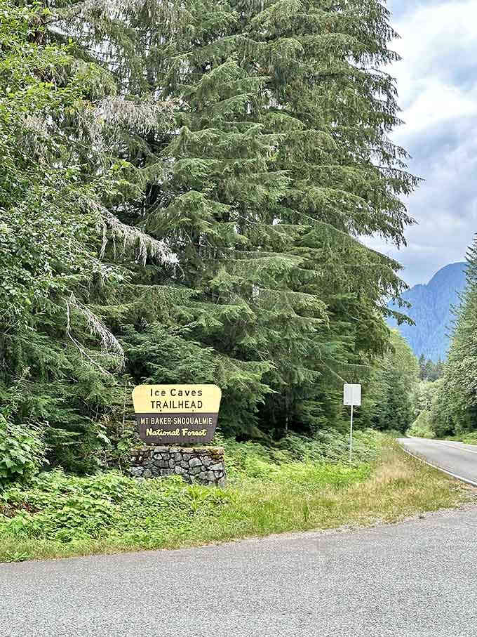 The trailhead sign marks your gateway to something extraordinary, just an easy hike from ordinary life.