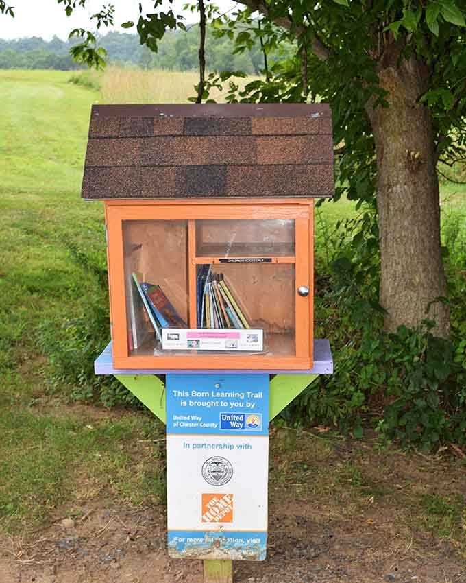Another little library waits patiently by the meadow, proving that the best adventures include both hiking boots and good books.