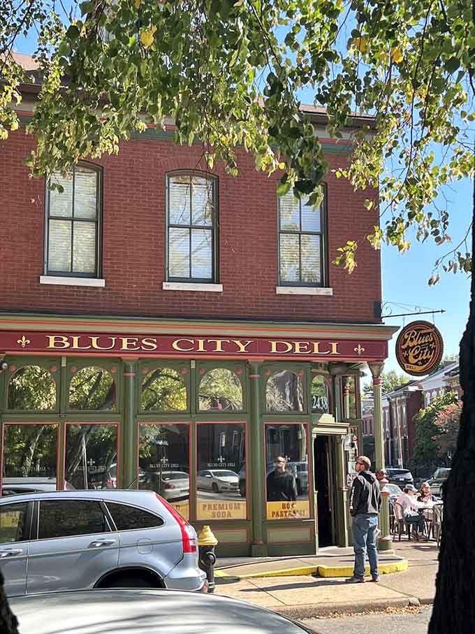 The corner location catches beautiful light through those historic windows, making every visit feel like discovering a neighborhood secret.