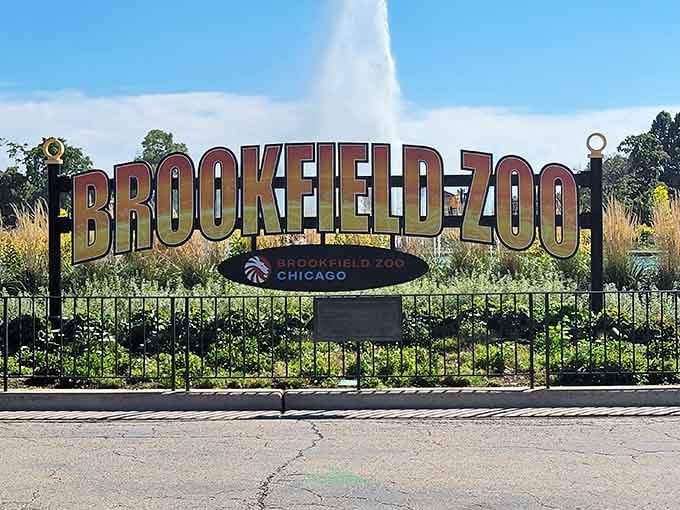 That iconic Brookfield Zoo sign has welcomed more childhood memories than you can count on both hands.