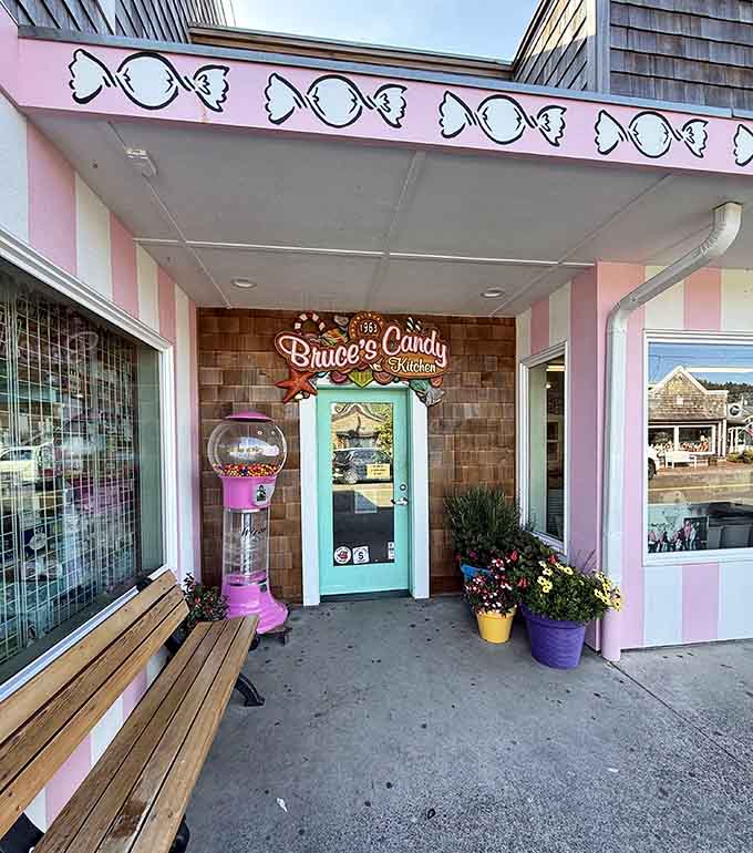 Pink striped awning and candy-wrapper trim frame the turquoise door like a confectionery welcome mat.