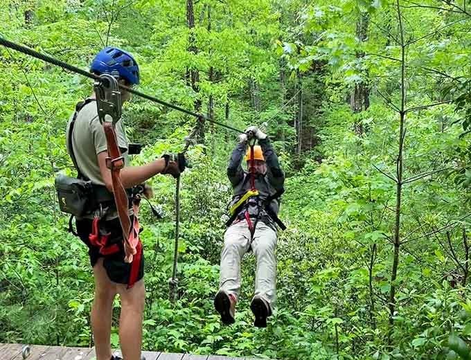 Zip-lining through the canopy: because sometimes you need to see the forest from a bird's slightly terrified perspective.