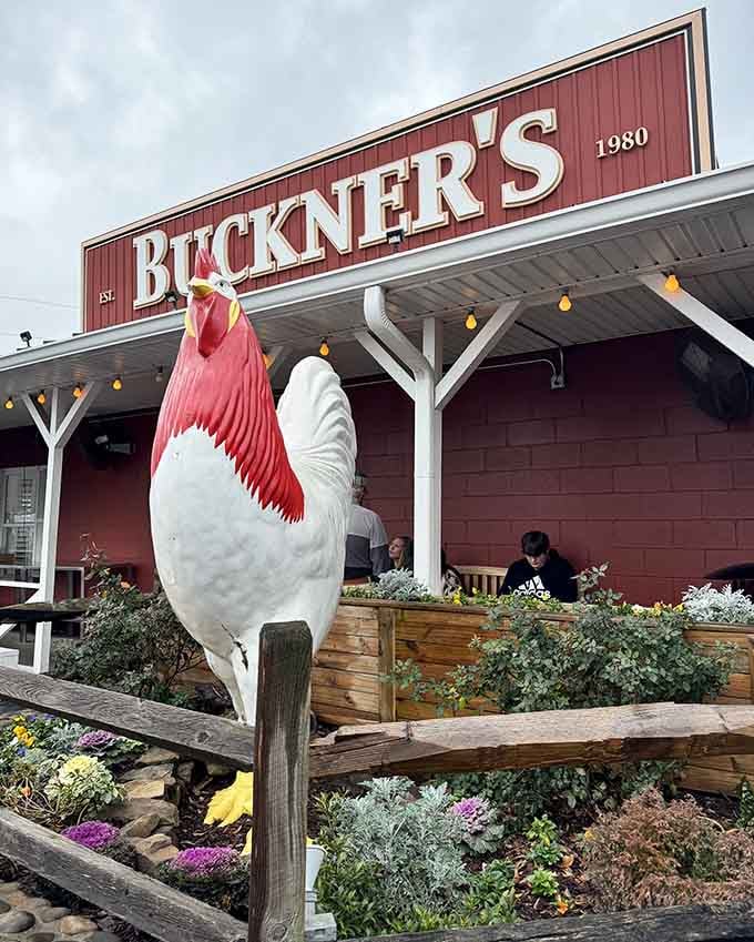 The giant rooster statue stands guard like a delicious sentinel, promising fried chicken excellence to all who enter this Southern food temple.