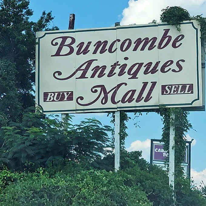 That classic roadside sign promising treasures within, and unlike most advertising, it's actually telling the complete truth.