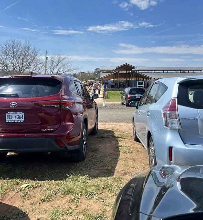 A packed parking area tells you everything you need to know: this secret is getting out, so visit soon.