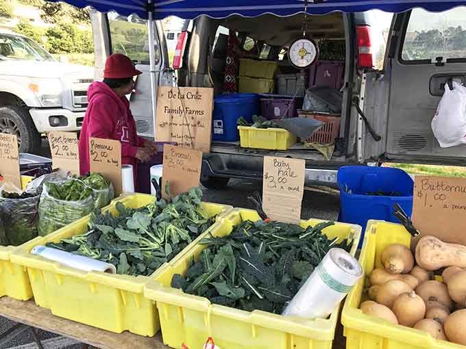 Fresh produce from actual farmers who'll chat with you? This is retirement living at its absolute finest, friends.