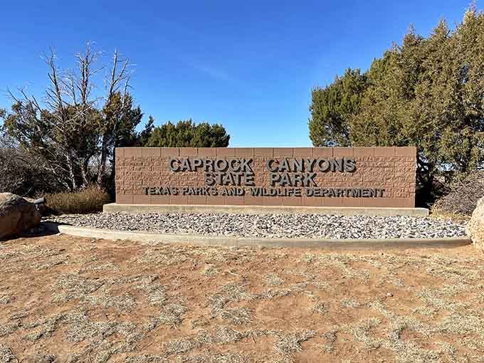 The park entrance sign stands ready to greet visitors embarking on adventures they'll actually remember past next Tuesday.