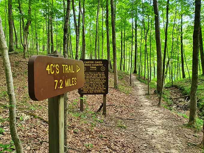 Seven miles of trail awaits, because the best discoveries require a little effort and comfortable walking shoes always.