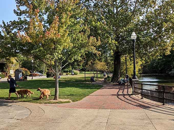 Riverside Park offers benches, pathways, and dogs living their absolute best lives by the water. Pure contentment.