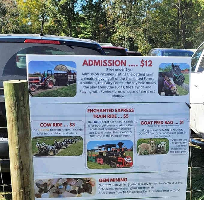 Clear pricing means no surprises, just straightforward admission to a place where childhood memories and new adventures happily collide together.