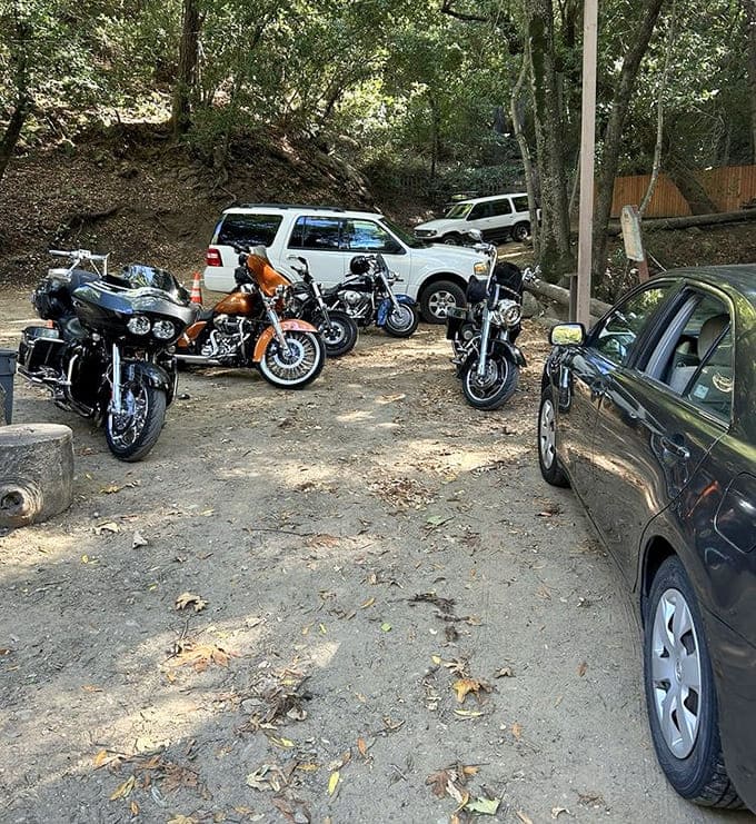 The parking lot where Harleys and SUVs coexist peacefully, united by their drivers' shared appreciation for authentic mountain dining experiences.