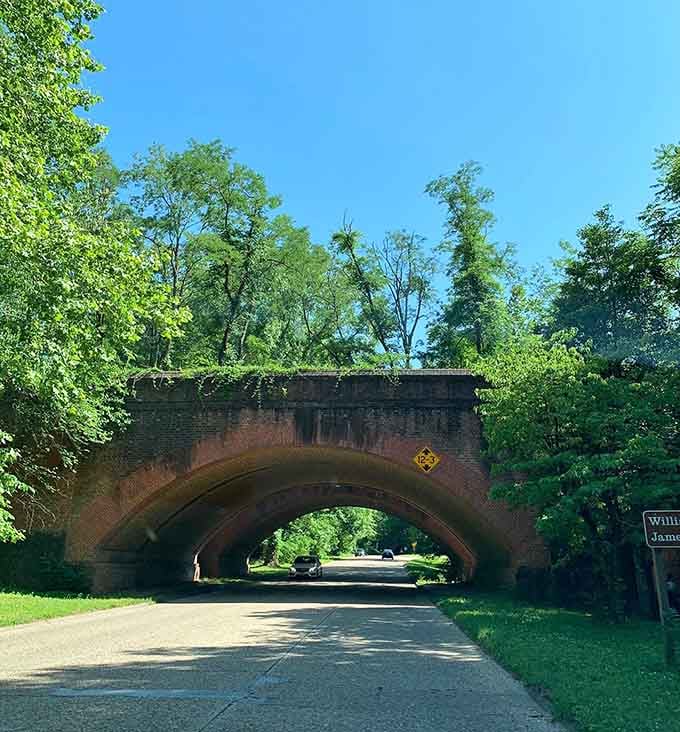 Architecture and nature playing nicely together, a collaboration that actually works better than most band reunions.
