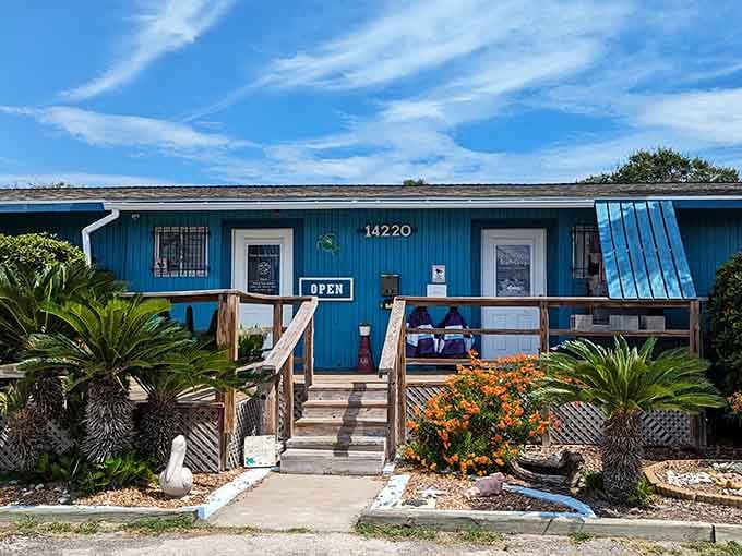 Texas Sealife Center's bright blue exterior promises marine education and rehabilitation work that actually matters to the Gulf.