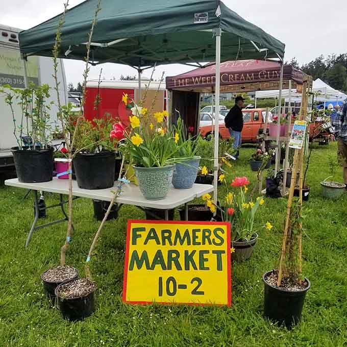 Bright blooms frame the farmers market sign, where local growers gather to share their harvest with grateful neighbors.